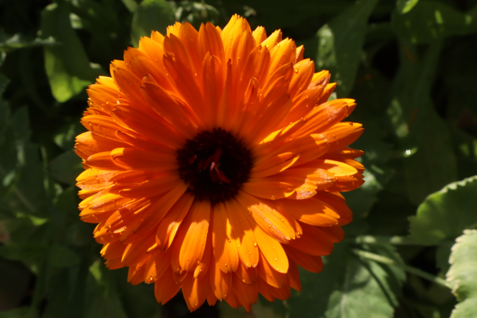 Growing - Discover Barents 2023